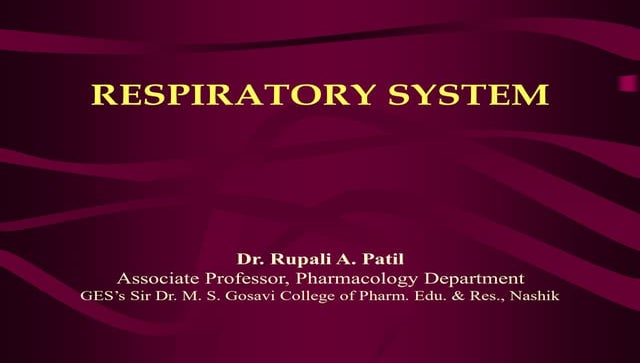 Respiratory syst