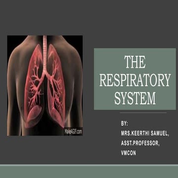 Respiratory system | PPT