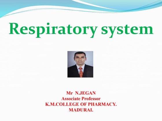 ANATOMY OF RESPIRATORY TRACT upper and lower tract | PPTX | Lung and Respiratory Health ...
