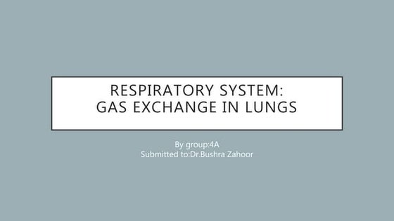 Respiration & Gas Exchange | Cambridge IGCSE Biology | PDF