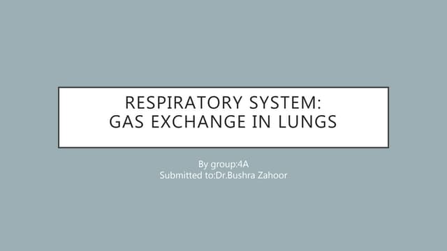 Respiration & Gas Exchange | Cambridge IGCSE Biology | PDF