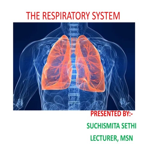 Anatomy and physiology of the respiratory system | PPTX