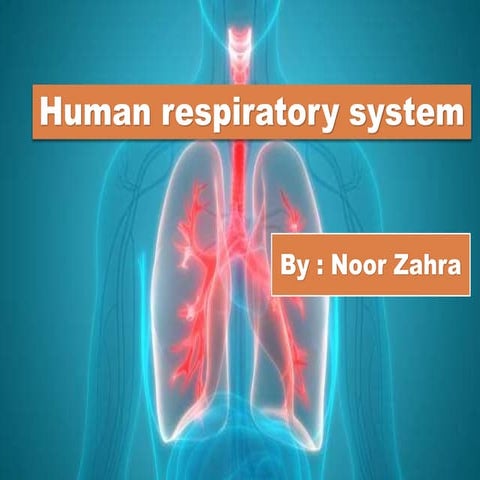 Respiratory system presentation | PPT