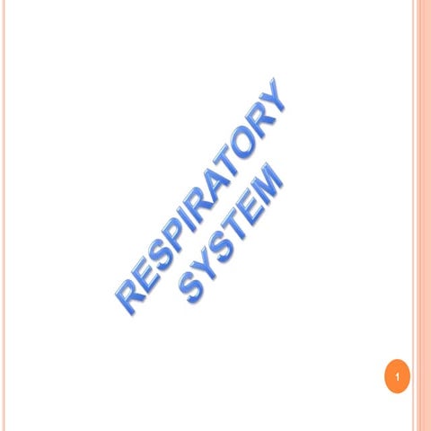 Respiratory system | PPT
