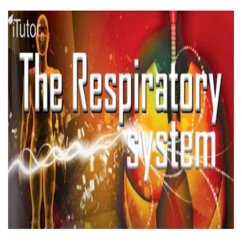 RESPIRATORY SYSTEM.pptx