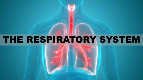 Parts and Function of Respiratory System - Grade 9 Science | PPTX