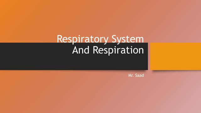Chapter - 10, Respiration in Organisms, Science, Class 7 | PDF