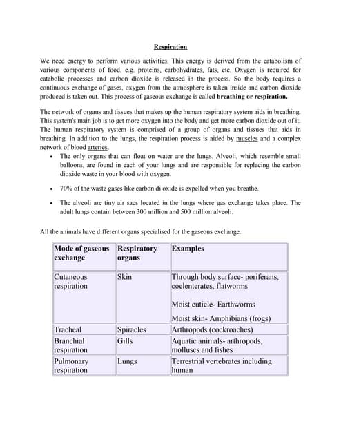 Grade 8 - Respiratory System | PPT