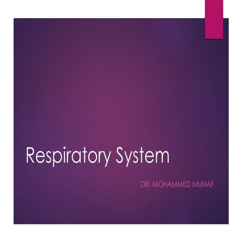 Respiratory system lecture for MBBS, Nursing.pptx
