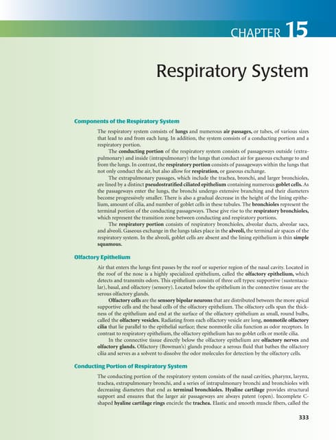 Histology of Lungs | PPTX | Lung and Respiratory Health | Diseases and ...