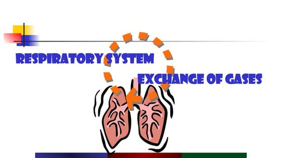 Grade 8 - Respiratory System | PPT