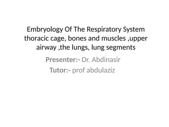 Chapter 1 fetal lung development | PPT