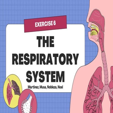 Respiratory System Physiology Experiment | PPT