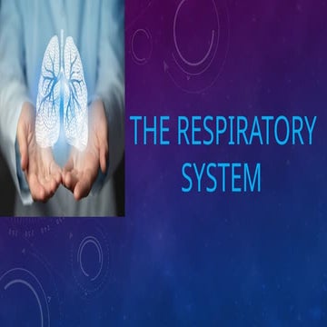 The Parts of Respiratory System and function | PPT