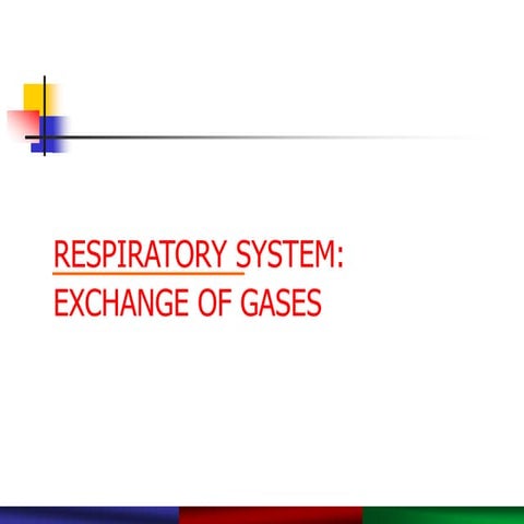 respiratory system: Exchange of gases powerpoint | PDF
