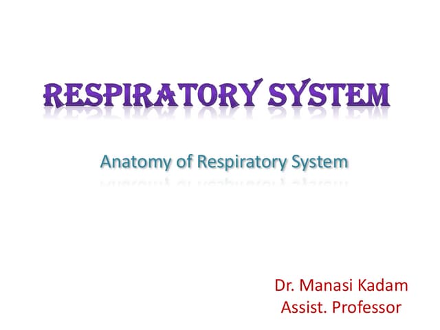 Respiratory System - Unit-2 of Anatomy & Physiology for Nursing Students | PDF