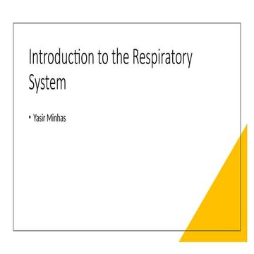Respiratory System - Basic understandings | PPTX