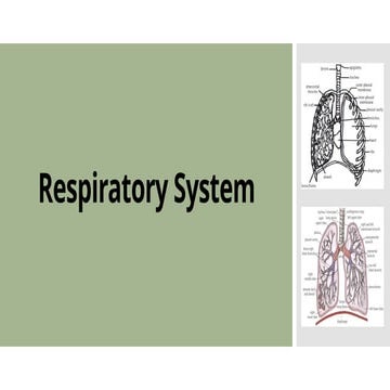 EVOLUTION OF RESPIRATORY SYSTEM | PPTX