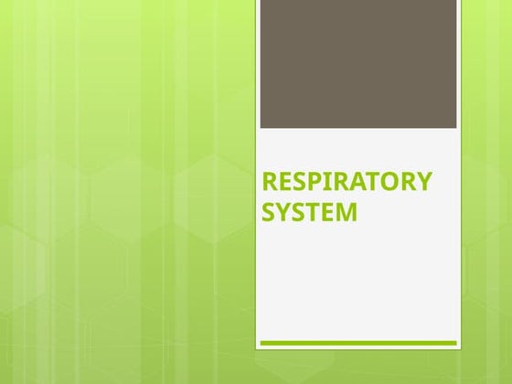 Histology of Lungs | PPTX | Lung and Respiratory Health | Diseases and ...