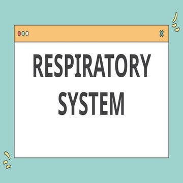 RESPIRATORY SYSTEM.pptx parts and function | PPTX