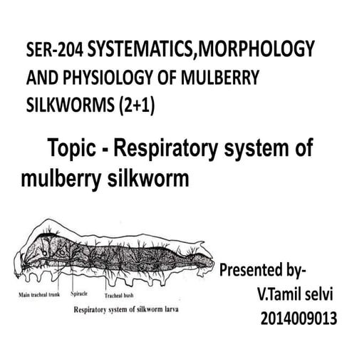 Respiratory system of Cockroach.pptx