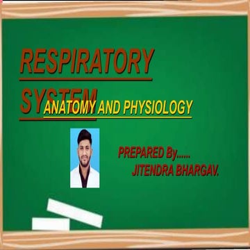 THE RESPIRATORY SYSTEM slideshare | PPTX