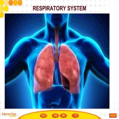 Respiratory system | PPT
