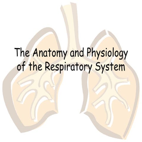 Presentation of Human respiratory system (01) | PPTX