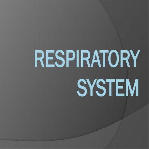 Respiratory System - Physiology | PPSX