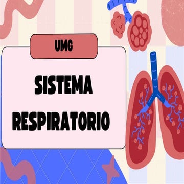Respiratory System Biology Presentation in a Blue Pink Bold Style.pdf