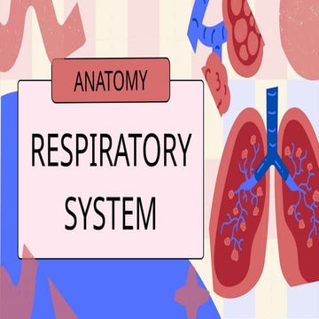 Respiratory System Biology Presentation in a Blue Pink Bold Style ...