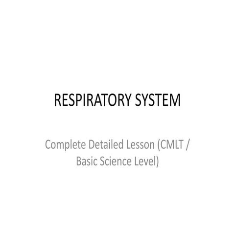 Comprehensive Respiratory System Lesson for Academic Mastery and Exam ...