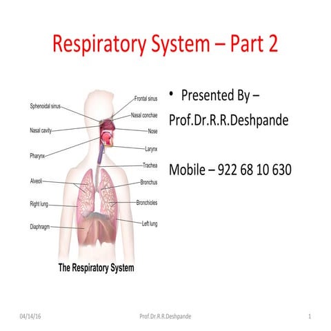 Respiratory system – part 2 | PPT