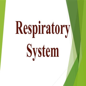 LESSON-1-RESPIRATORY-SYSTEM-C333opy.pptx