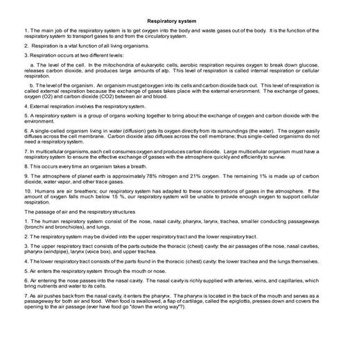 Respiratory system handout | PDF