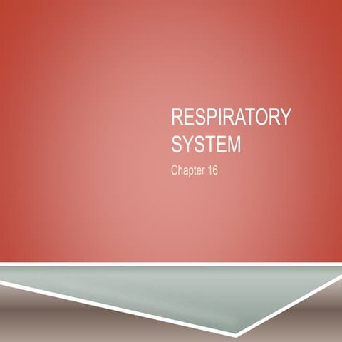 Respiratory System | PPTX