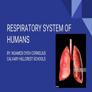 Respiratory system of humans | PPTX