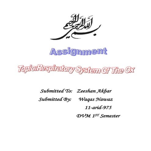 Respiratory system of ox | DOCX