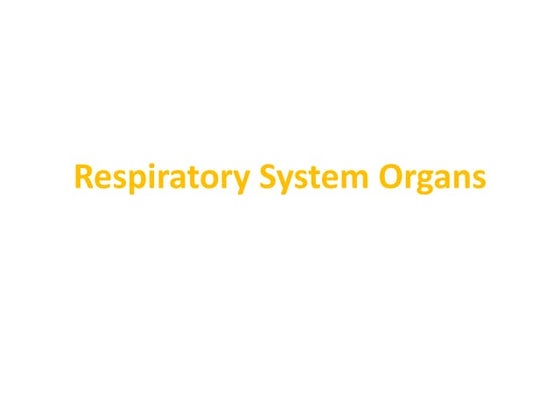 Parts and Function of Respiratory System - Grade 9 Science | PPTX