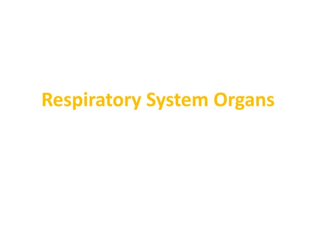 PARTS & FUNCTION OF RESPIRATORY SYSTEM.pptx