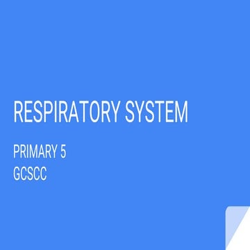 RESPIRATORY SYSTEM P5.pptx