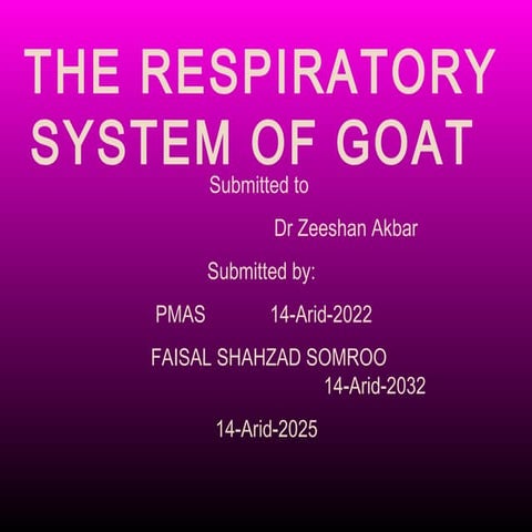Cardiovascular system of goat | DOCX