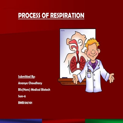 Respiratory System Ppt | PPT
