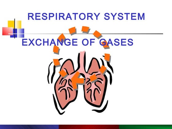 Grade 8 - Respiratory System | PPT