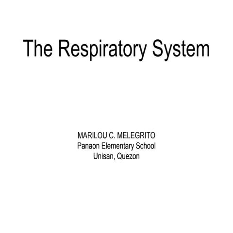 Respiratory System ppt.pptx