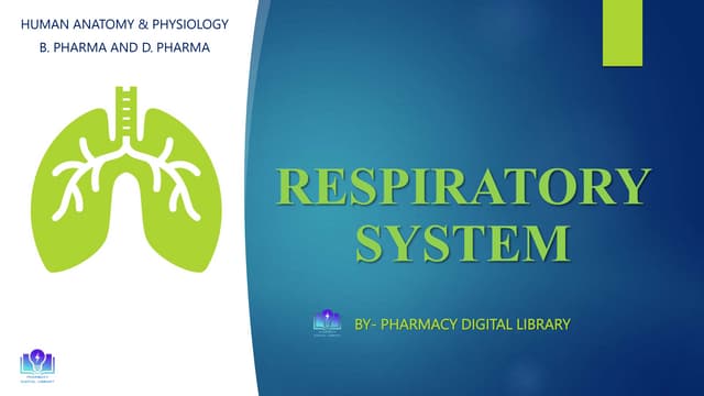 Respiratory System - Unit-2 of Anatomy & Physiology for Nursing ...