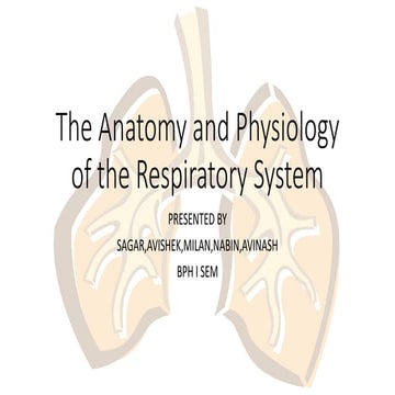 Respiratory system presentation | PPTX | Ear, Nose and Throat ...