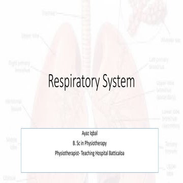 Respiratory System (PRESENTATION).pdf