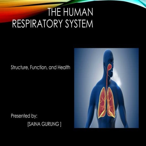 Respiratory_System_Presentation (1) (2).pptx
