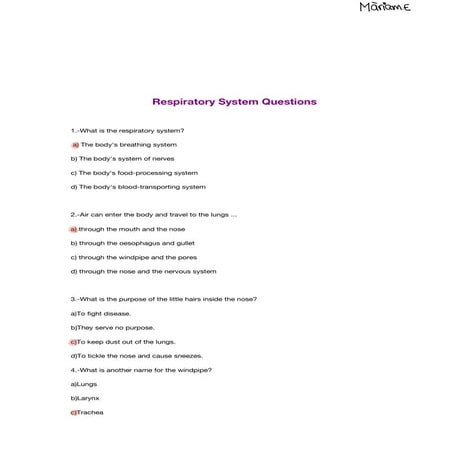 Respiratory system questions | PDF